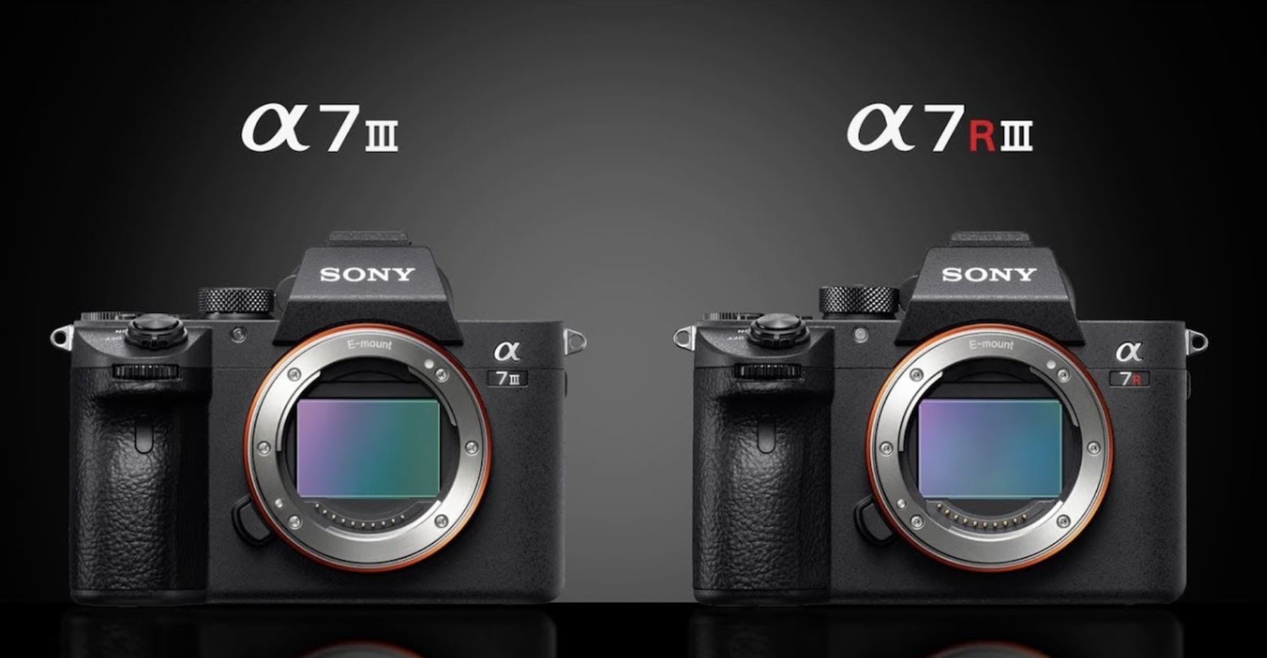 Sony a7 III & a7R III Firmware Version 3.0 now Released ! | Sony Rumors