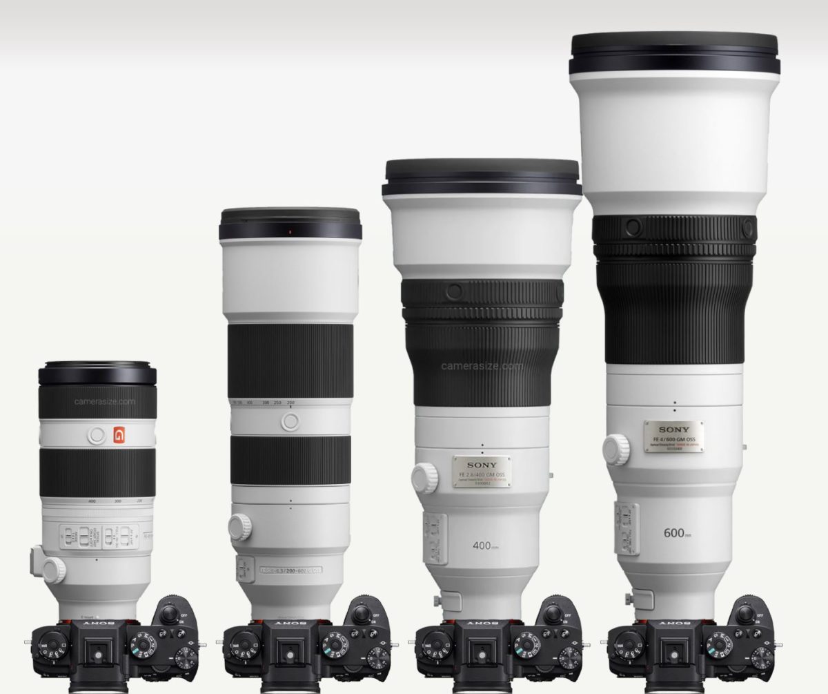 Size Comparison: FE 200-600 G Vs. FE 600 GM Vs. FE 400 GM Vs. FE 100 ...